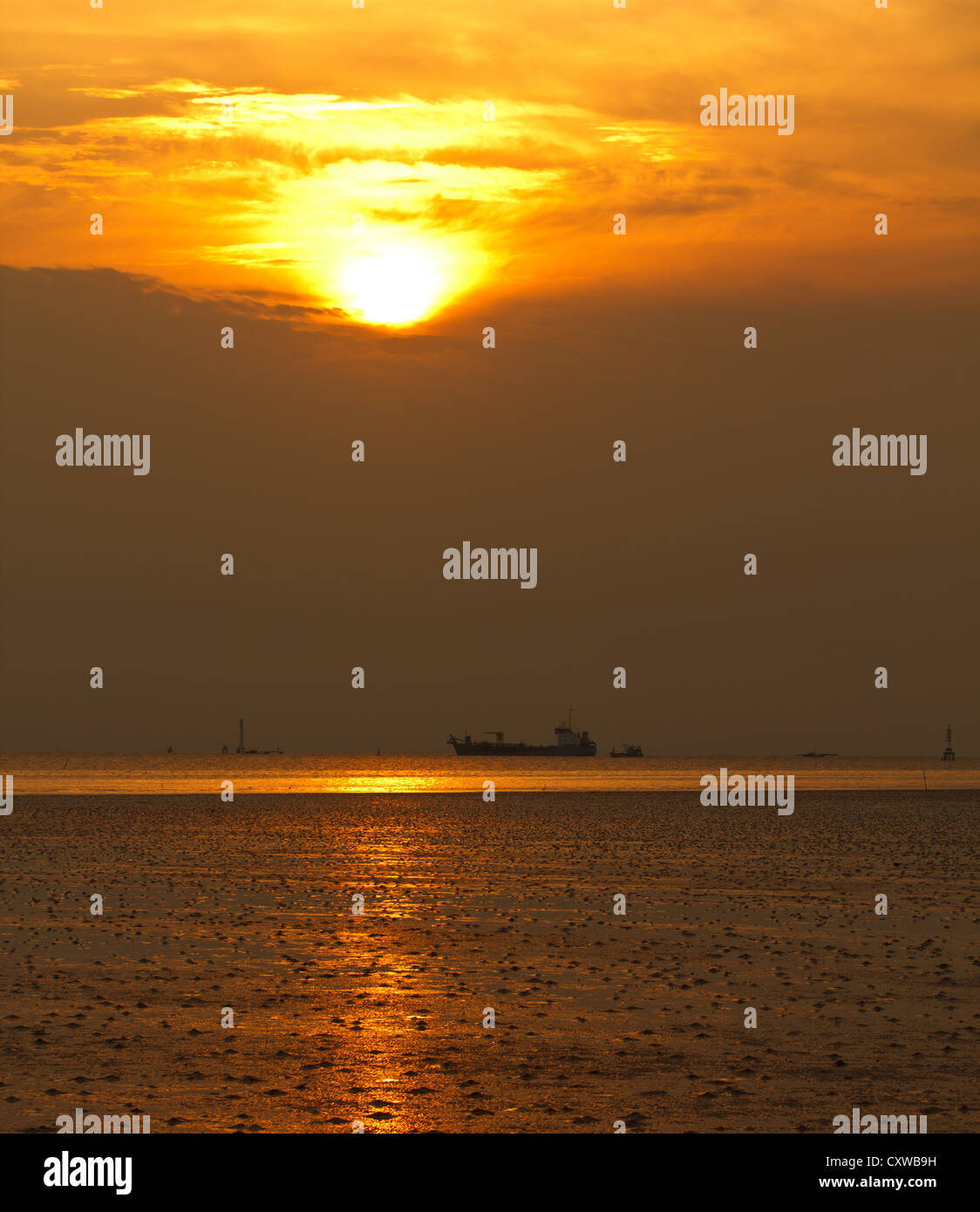 Golden sea with ocean liner at sunset Stock Photo - Alamy