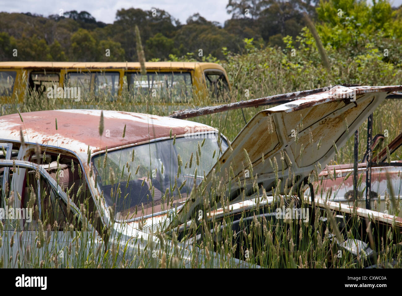 Discarded cars hi-res stock photography and images - Alamy