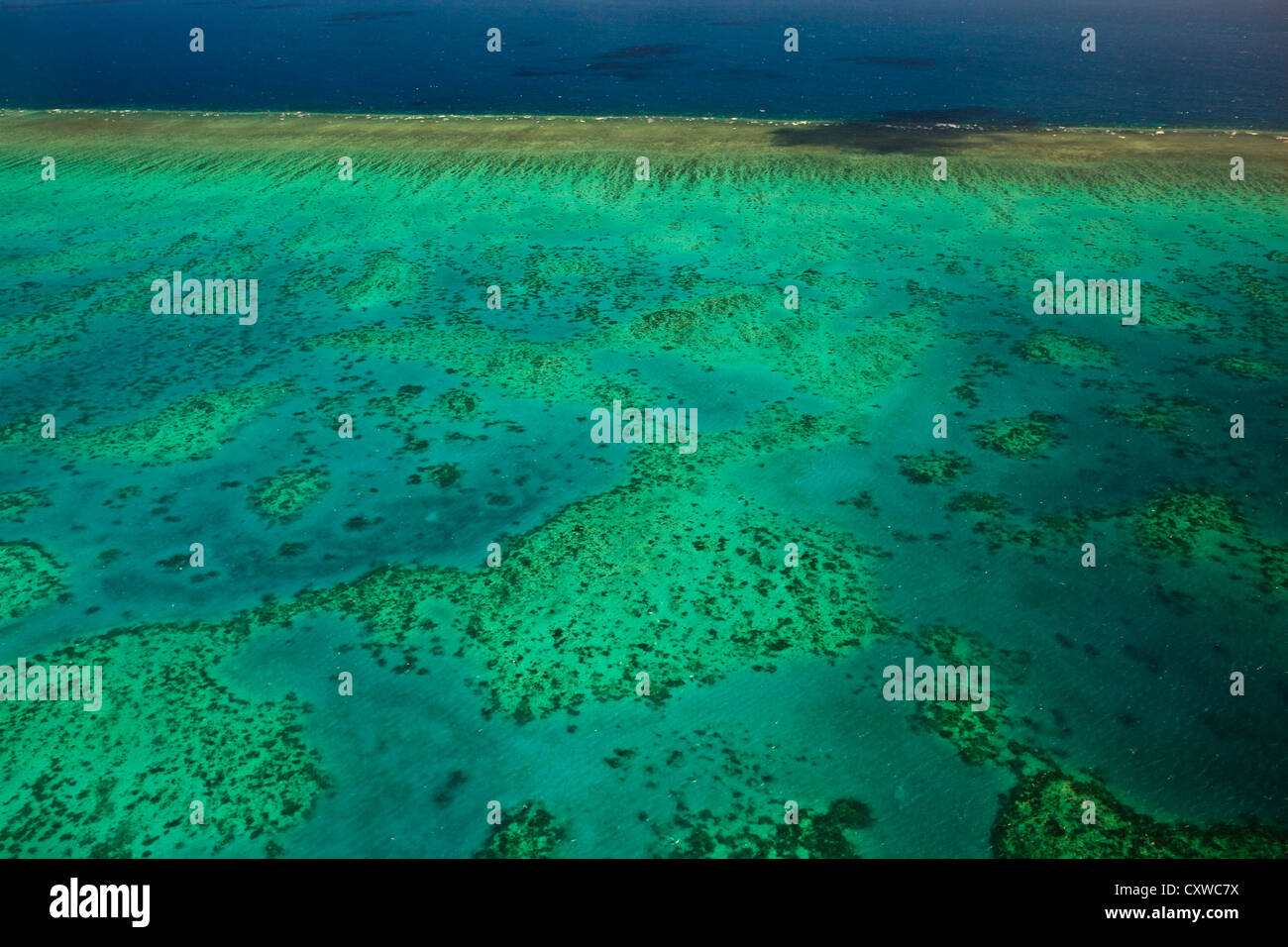 Aerial view of Arlington Reef colorful coral formations underwater in ...