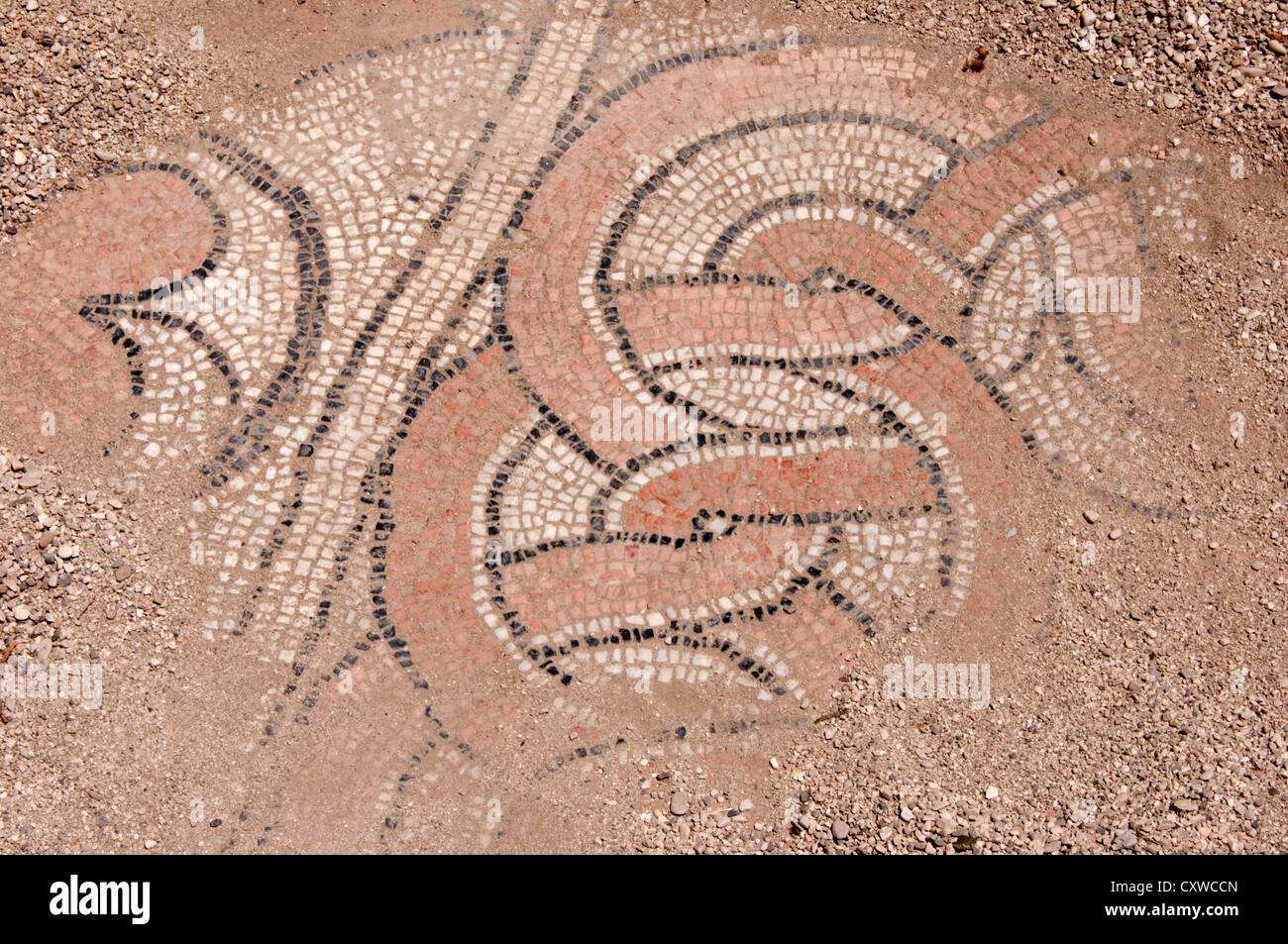 Albania mosaic hi-res stock photography and images - Alamy