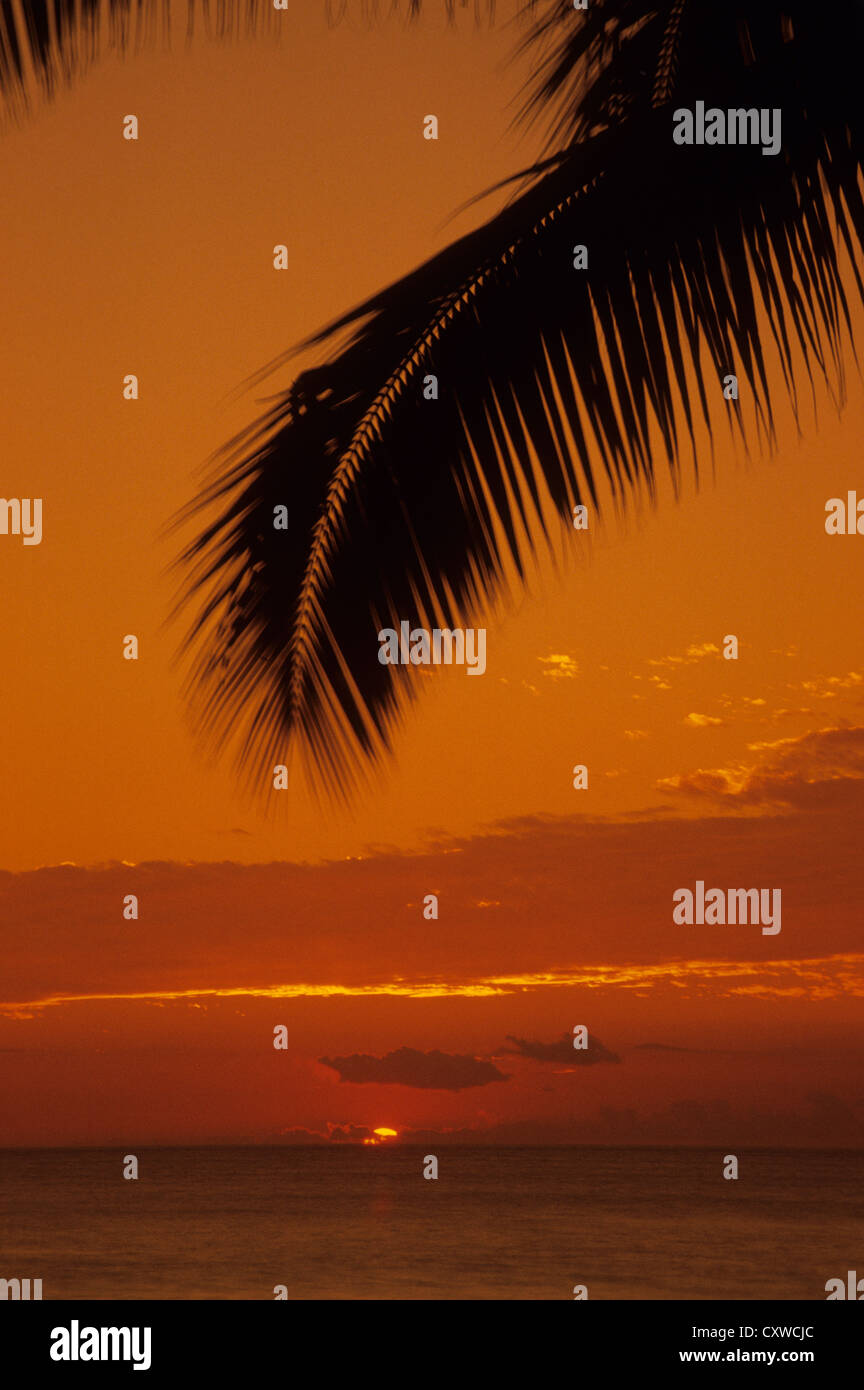 Fijian sunset hi-res stock photography and images - Alamy