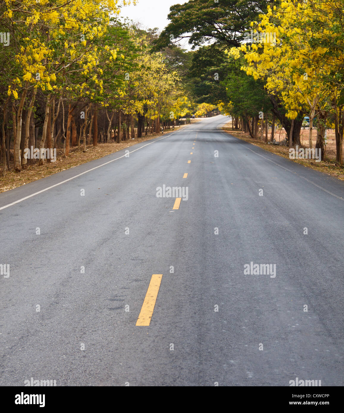 Road in the beautiful countryside Stock Photo - Alamy