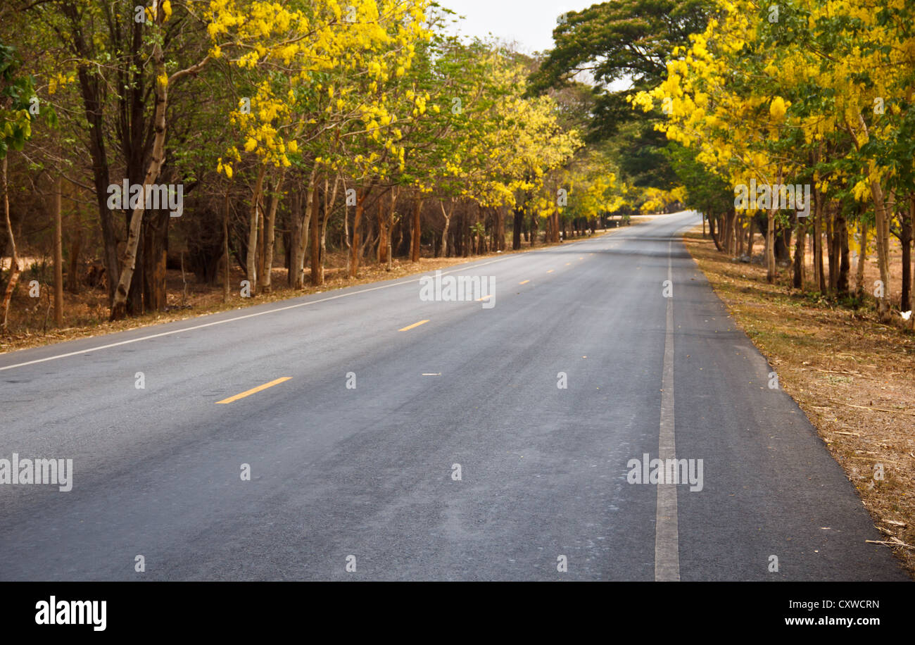 Road in the beautiful countryside Stock Photo - Alamy