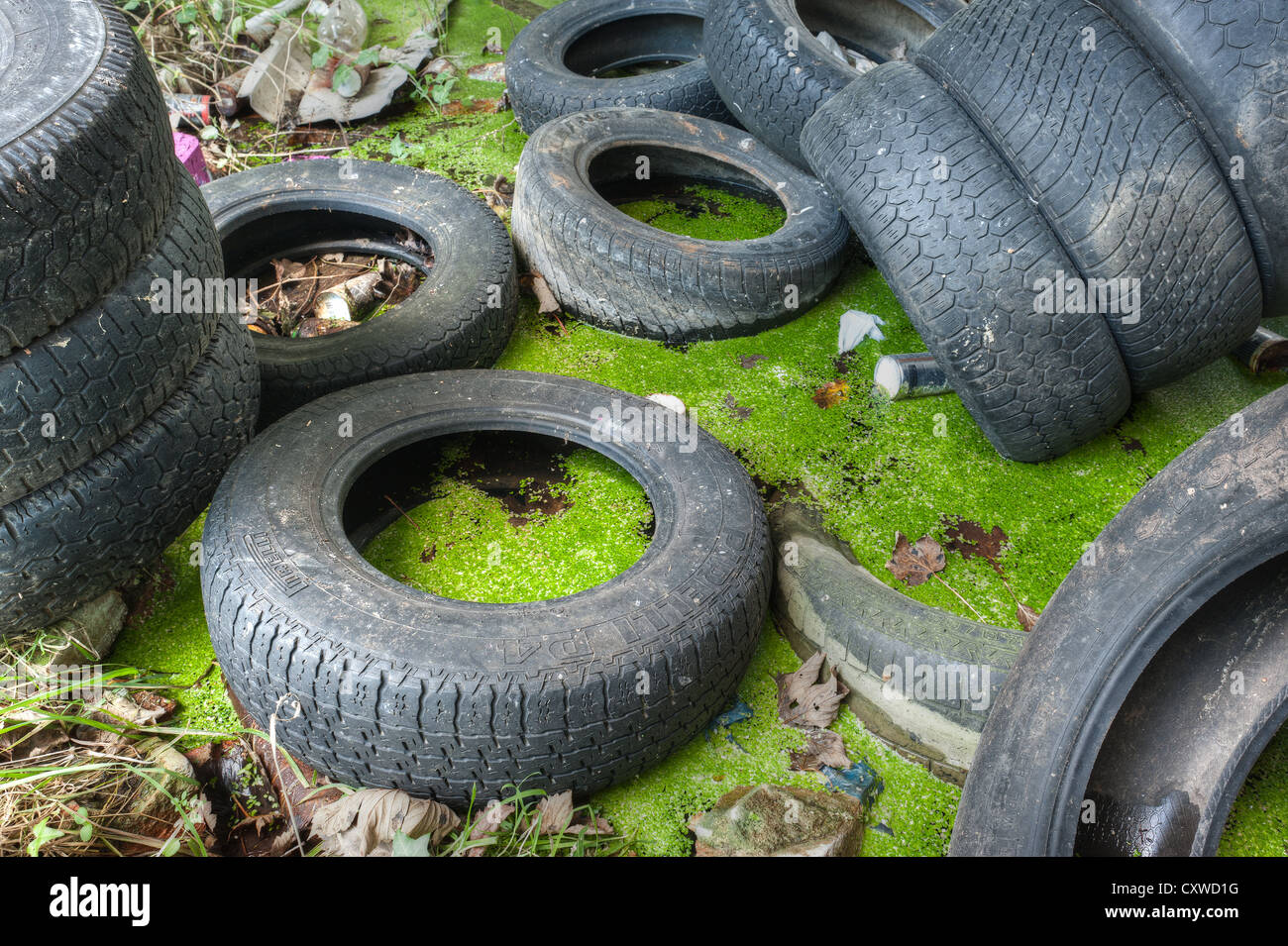 Pollution waste car tyres dumped in countryside and forming a home for ...