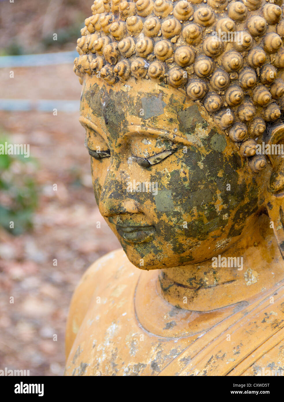 Profile image of buddha statue Thailand Stock Photo - Alamy
