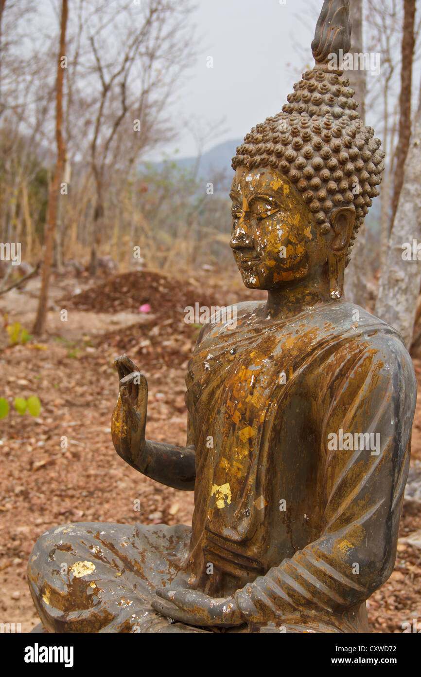Profile image of buddha statue Thailand Stock Photo - Alamy