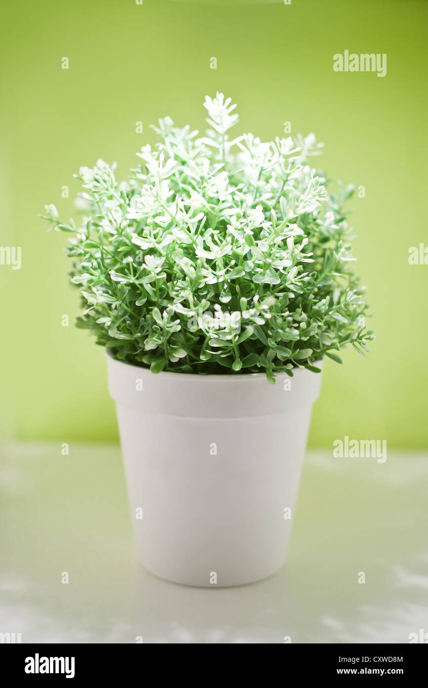 White pots hi-res stock photography and images - Alamy
