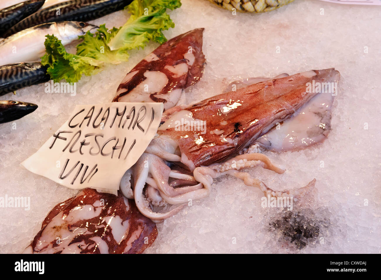 Baby calamari hi-res stock photography and images - Alamy