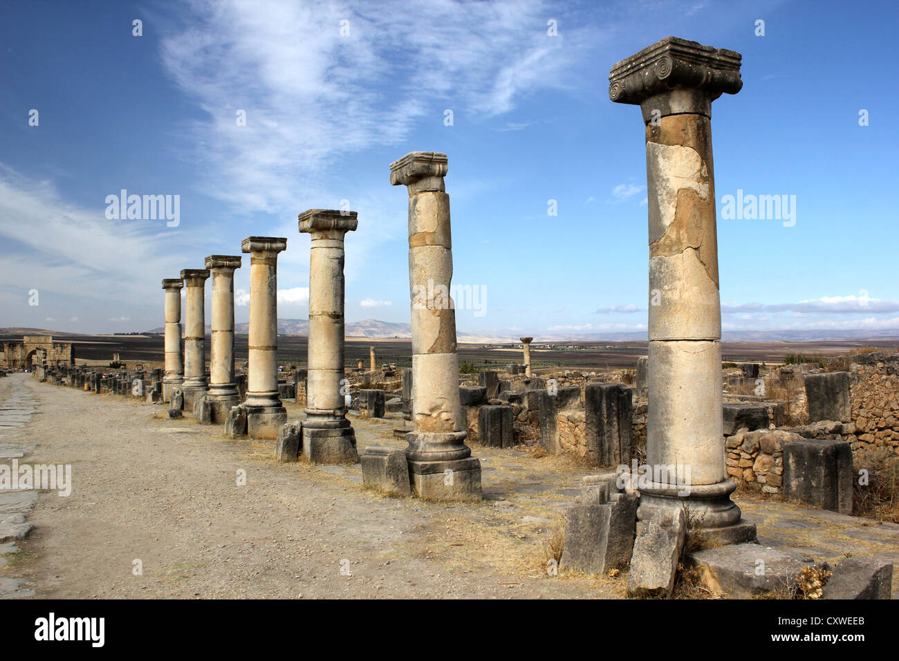 Columns at Volubilis UNESCO World Heritage Site in Morocco Stock Photo ...