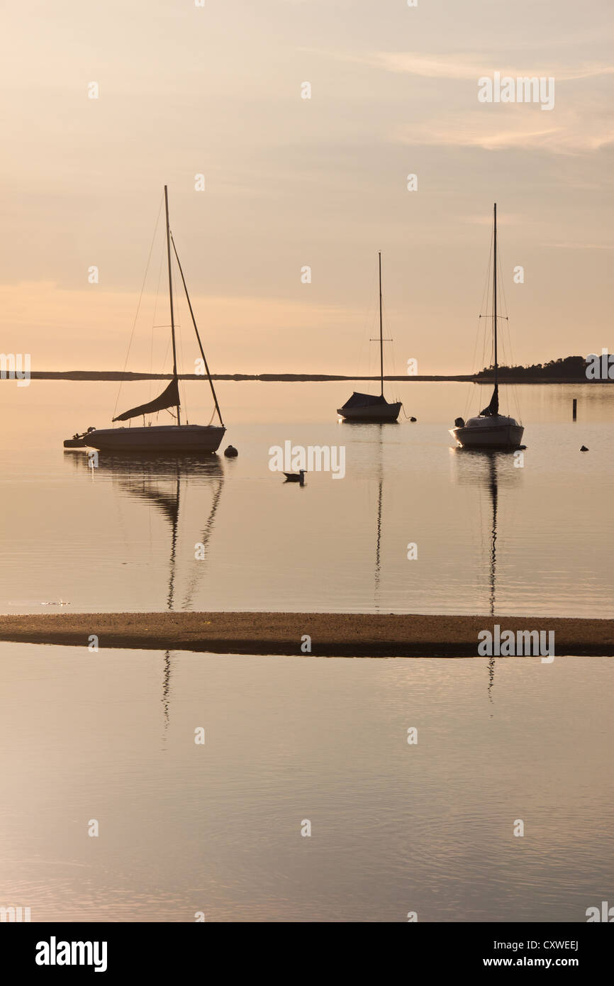 Sailboats and duck at sunrise on an inlet in Chatham, Mass, Cape Cod ... Sailboats and duck at sunrise on an inlet in Chatham, Mass, Cape Cod ...