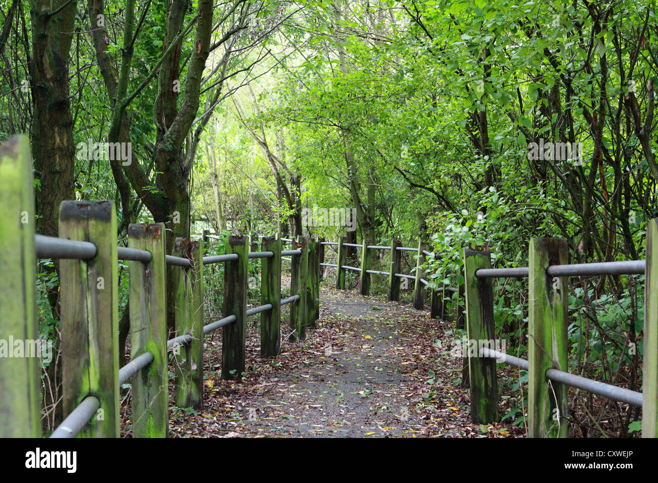 A path running through a lightly wooded area in Watford, England Stock ...