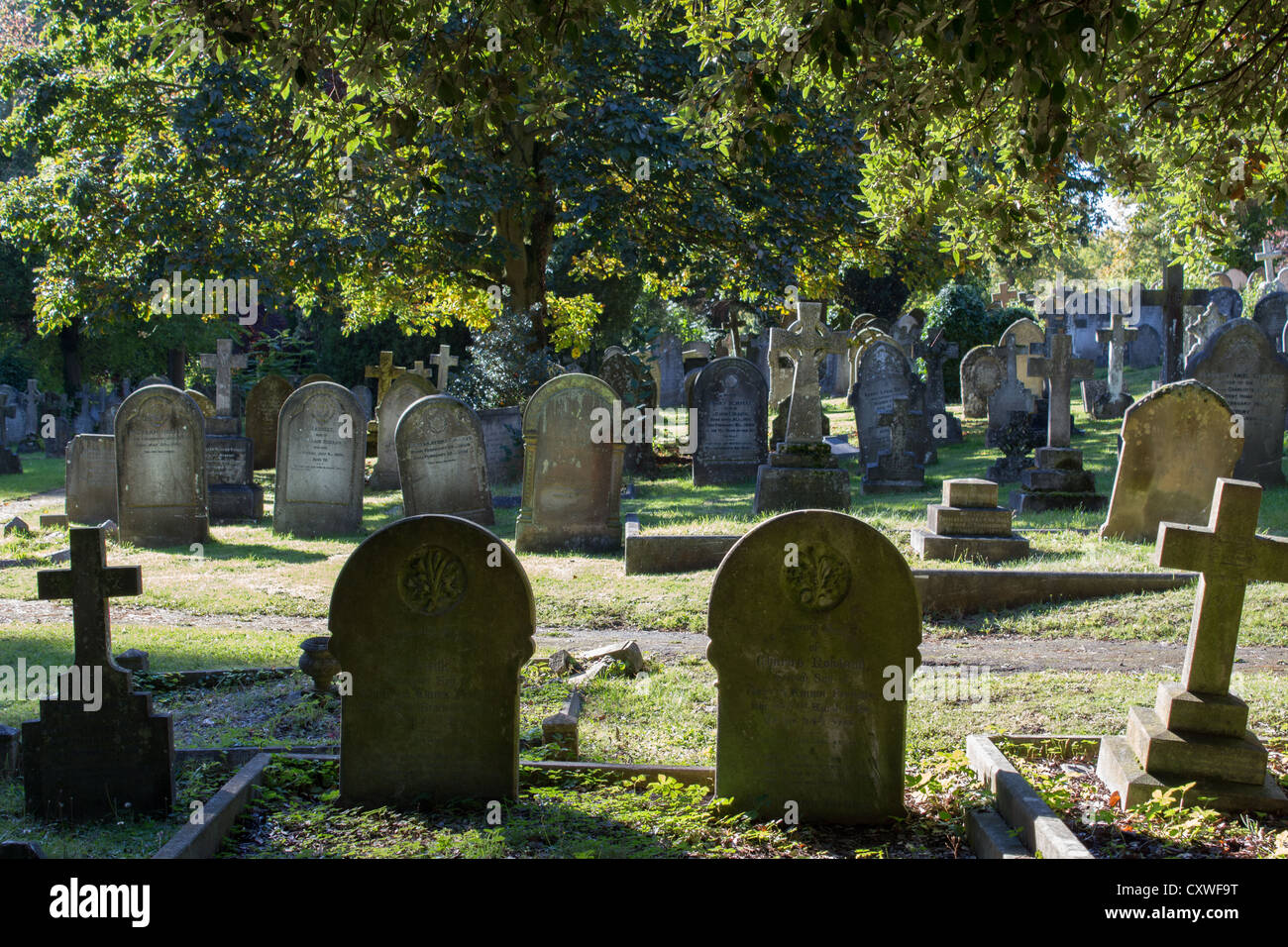 Bedford Park Cemetery Stock Photo - Alamy