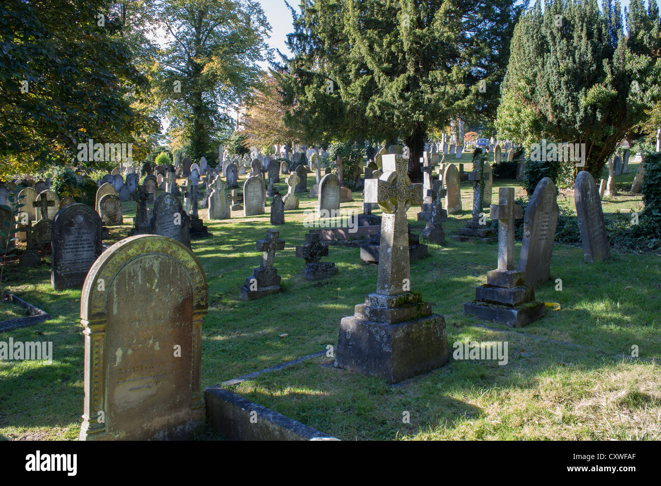 Bedford Park Cemetery Stock Photo - Alamy