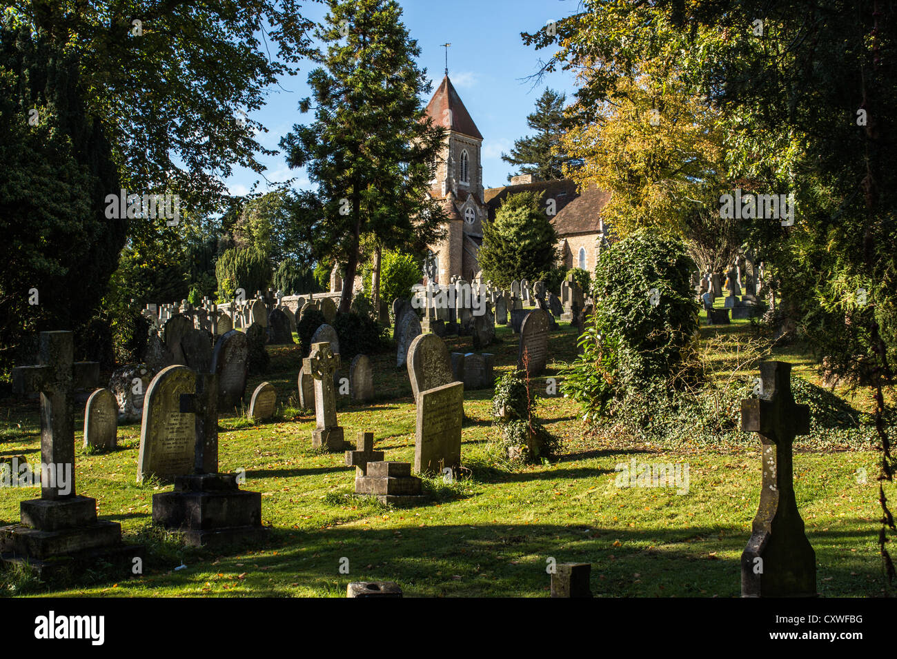 Bedford Park Cemetery Stock Photo - Alamy