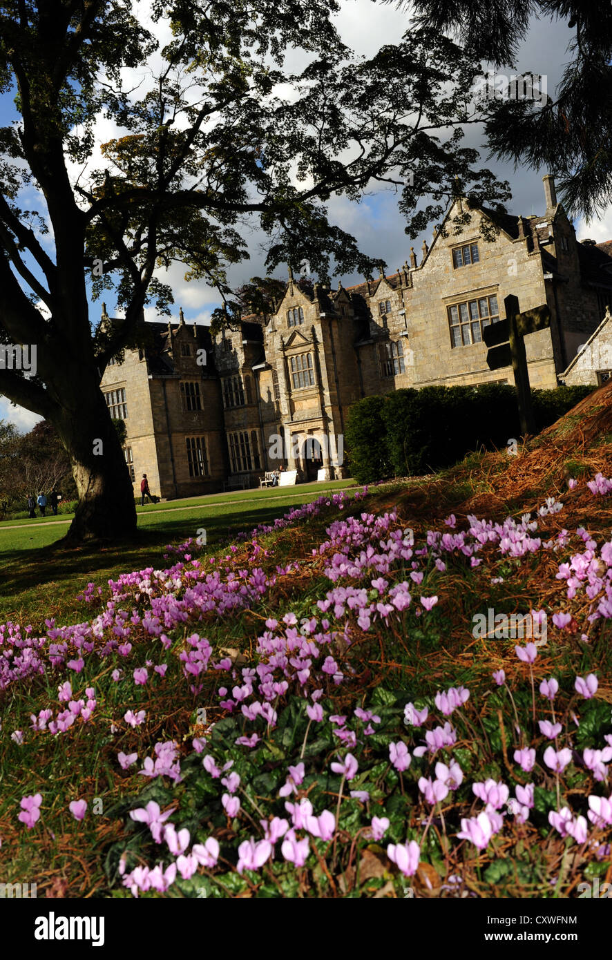 Media Photocall - Autumn sunshine brings out the colours and visitors ...