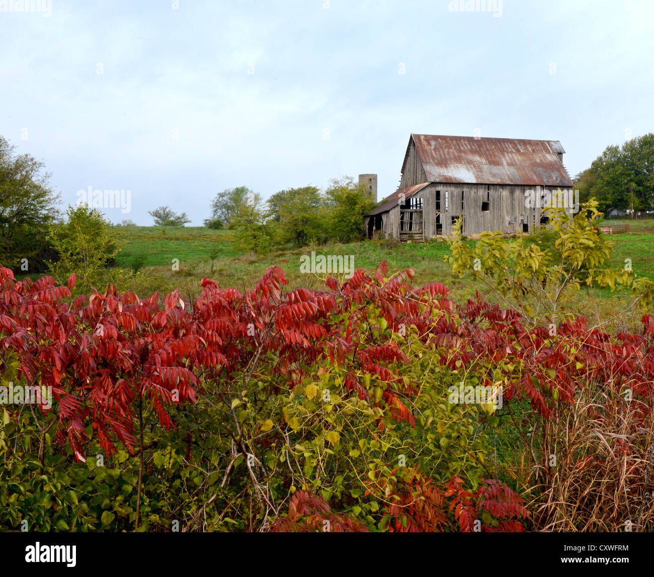Rural missouri hi-res stock photography and images - Alamy