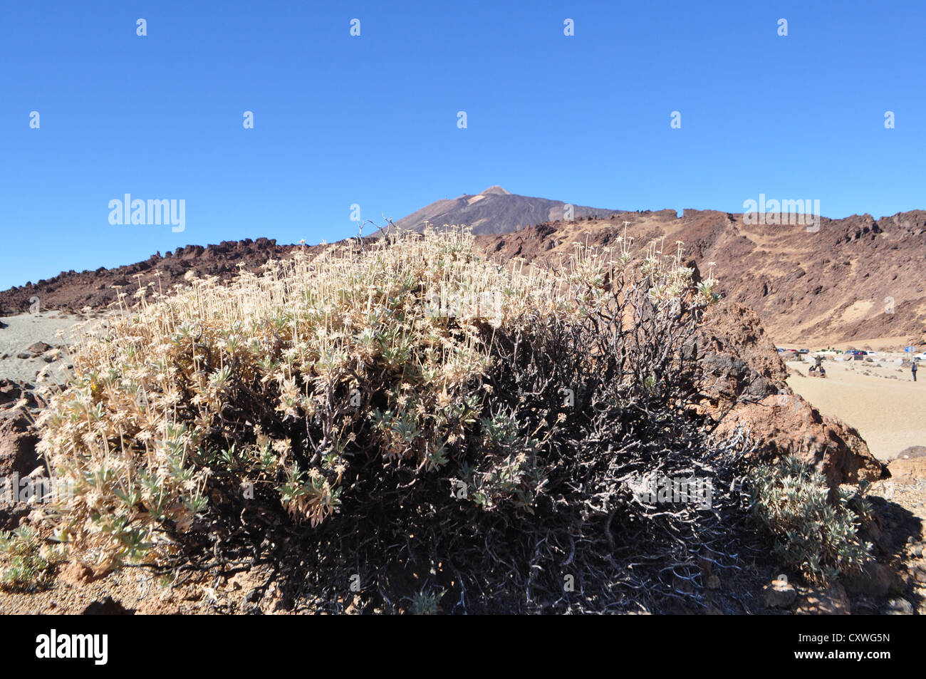 Tenerife mount teide view hi-res stock photography and images - Alamy