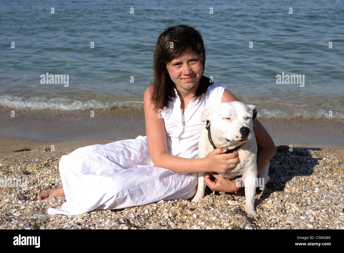 Young girl with a dog (Staffordshire Bull Terrier) at the sea Stock ...