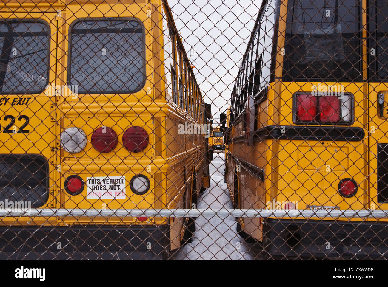 School buses in a parking lot behing a fence, Brooklyn, New York Stock ...
