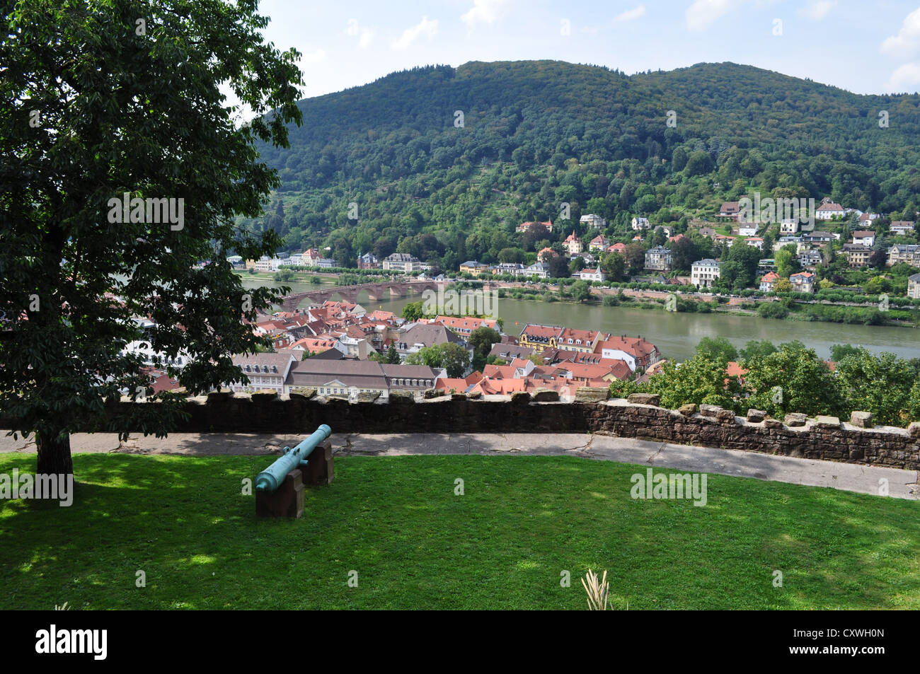 View of heidelberg from castle hi-res stock photography and images - Alamy