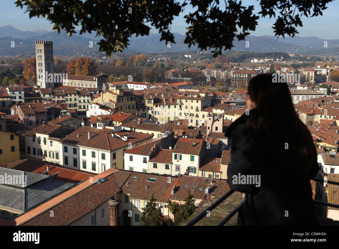 Cityscape of Lucca from Guinigi Tower, Lucca, Tuscany, Italy Stock ...