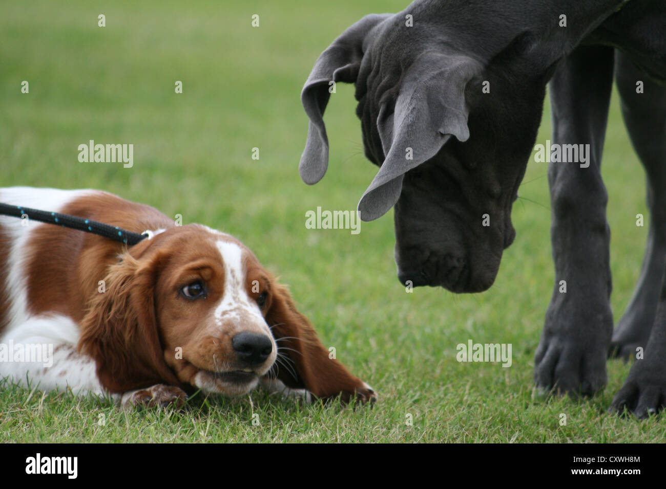 Tag your it Stock Photo - Alamy