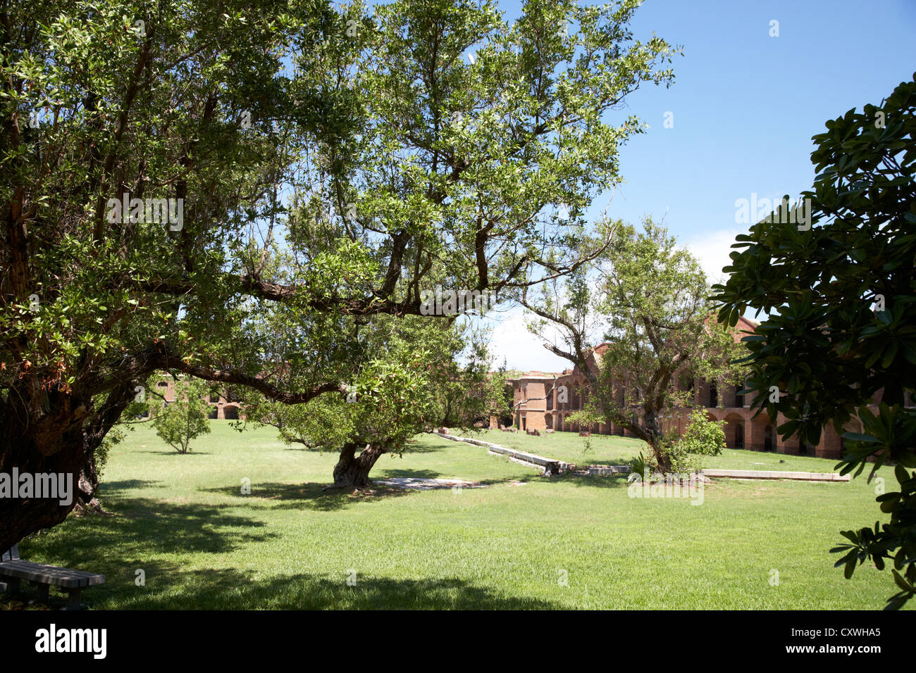 trees on the old parade ground inside fort jefferson dry tortugas ...