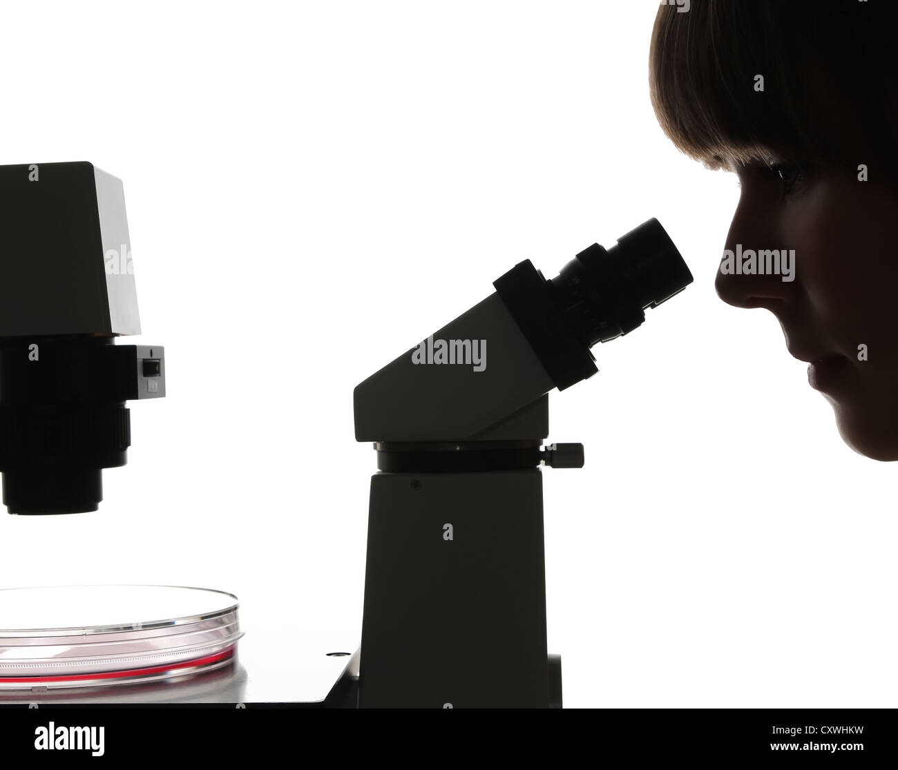 Young female scientist is looking into a microscope at a human cell ...