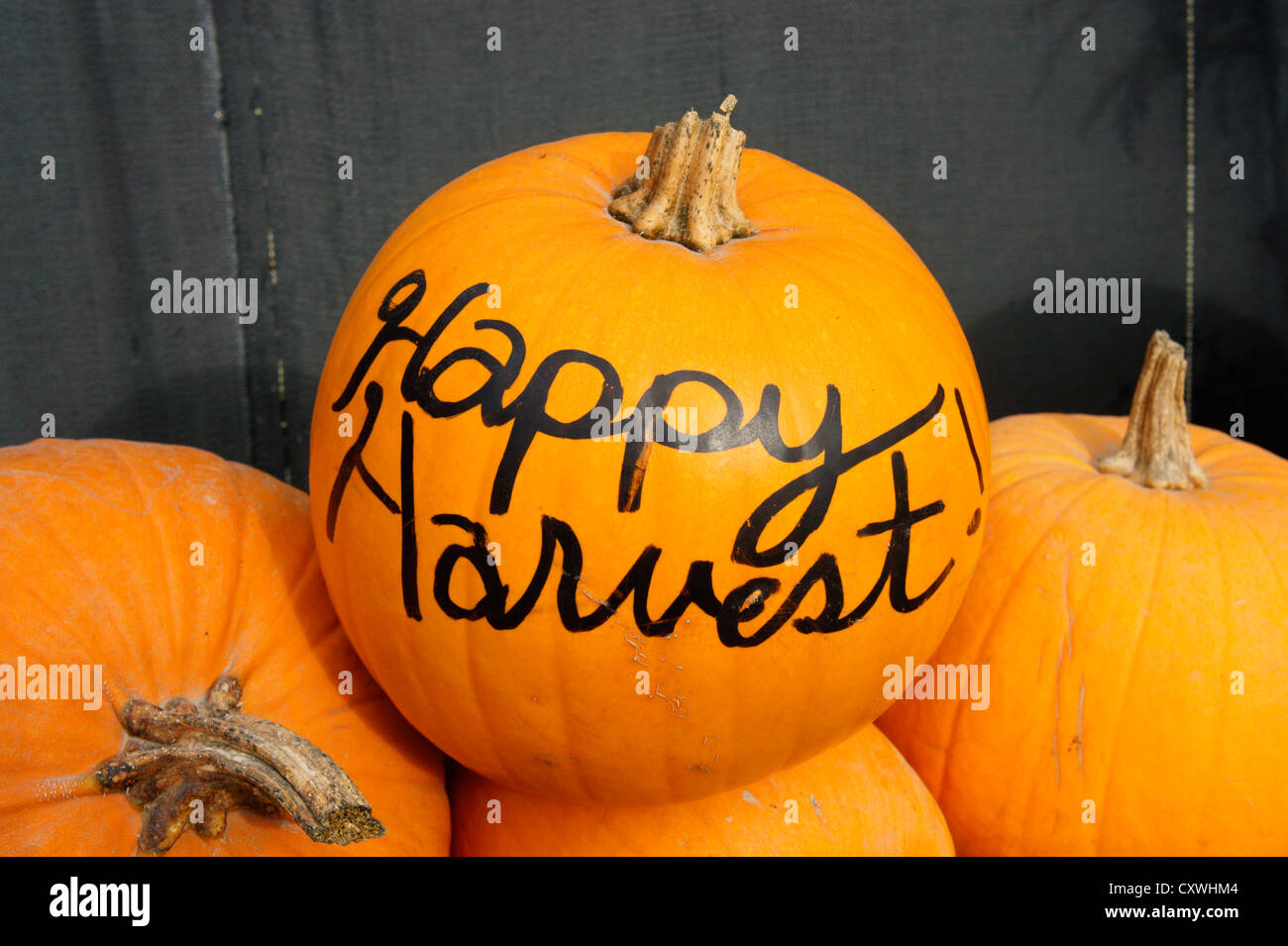 Happy pumpkins hi-res stock photography and images - Alamy