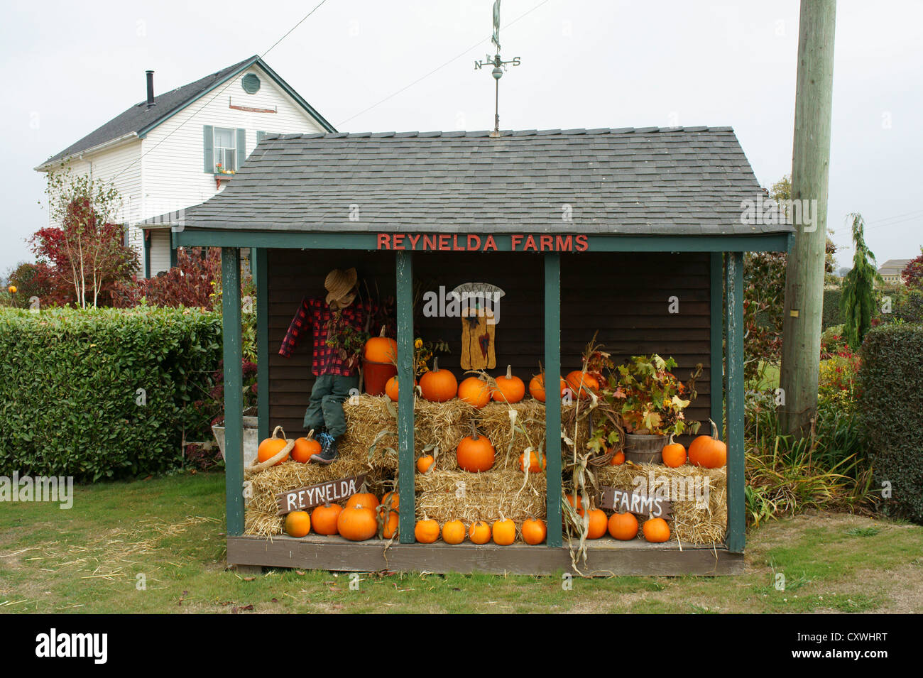 Roadside farm stand hi-res stock photography and images - Alamy