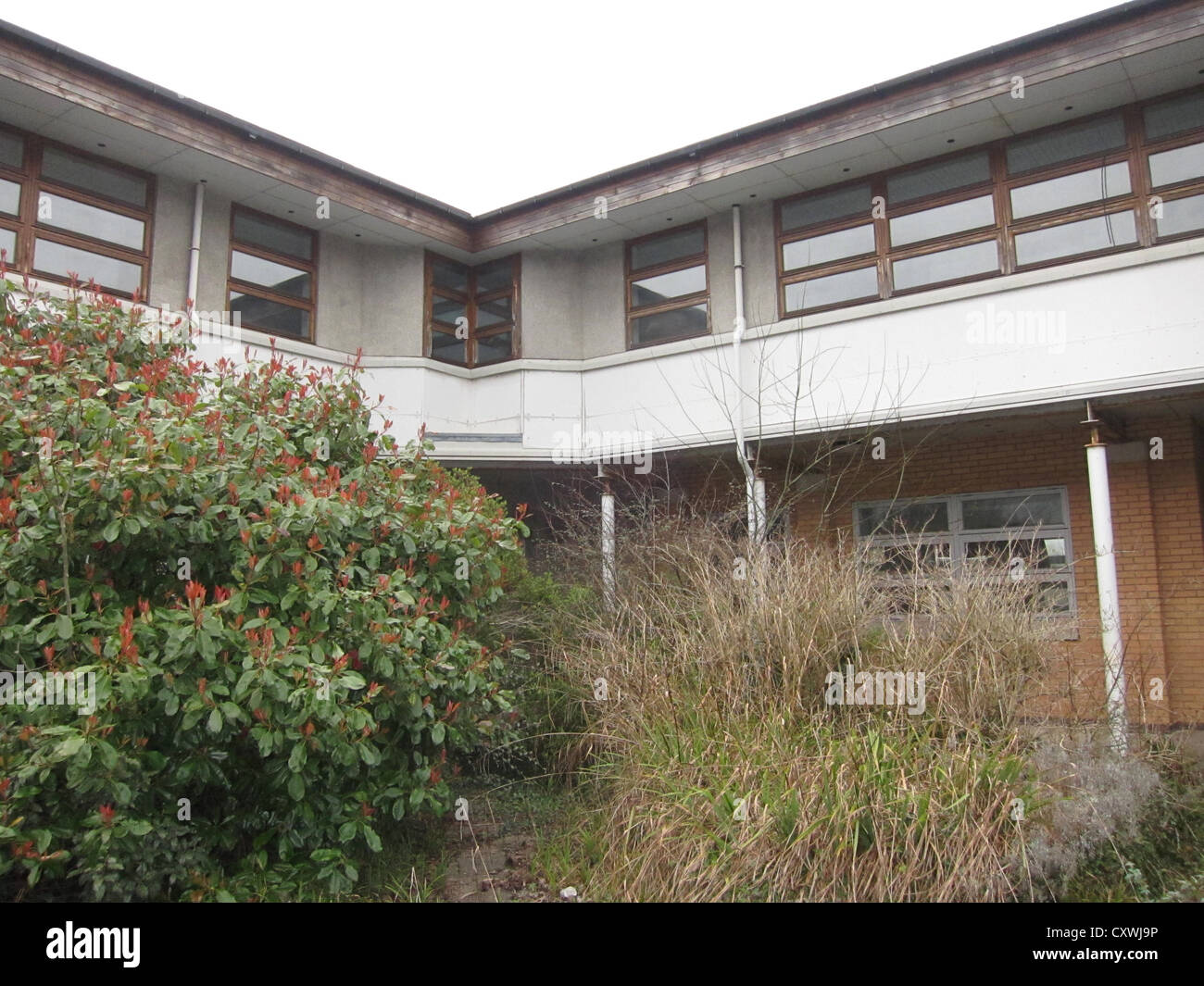 Overgrown old unused building Stock Photo - Alamy
