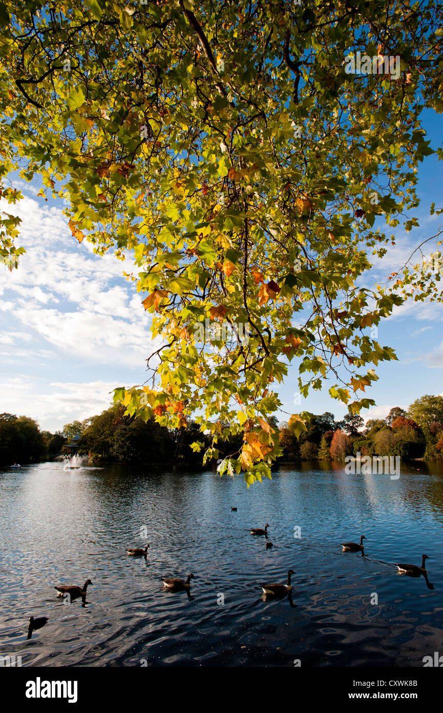 Victoria Park, Hackney, London, United Kingdom Stock Photo - Alamy