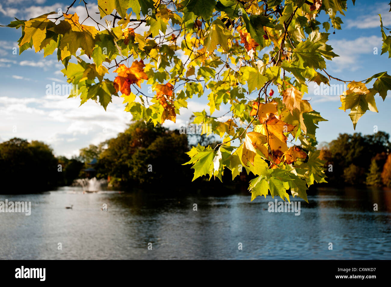Victoria Park Hackney Autumn High Resolution Stock Photography and ...