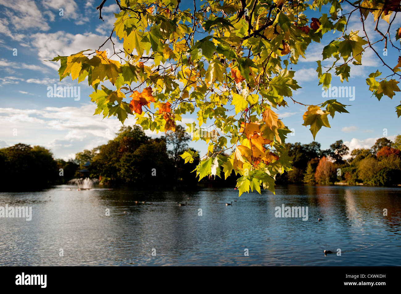 Victoria Park, Hackney, London, United Kingdom Stock Photo - Alamy