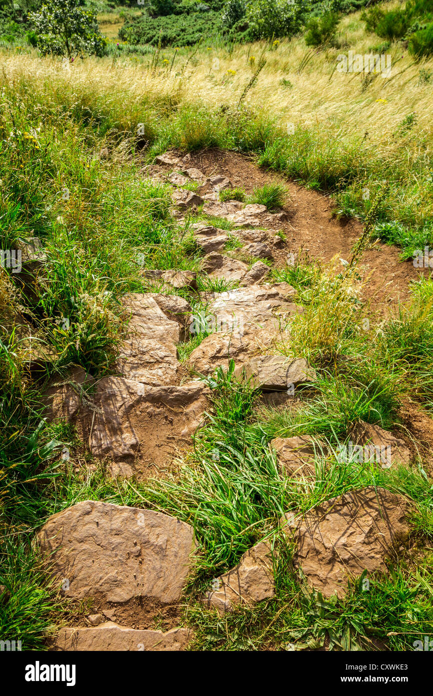 Stone footpath in the mountains in summer Stock Photo - Alamy