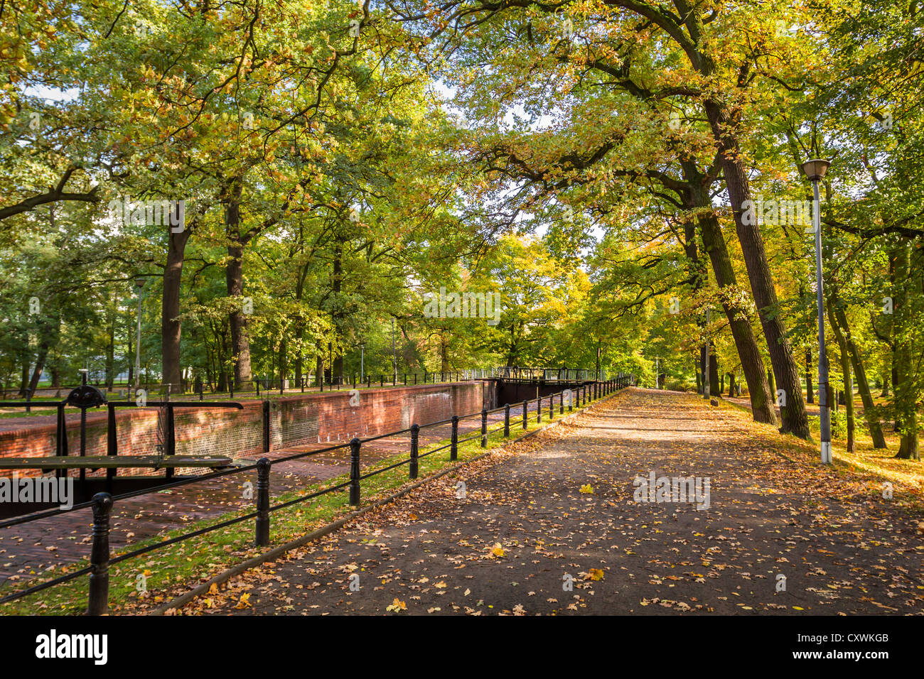 Footpath in park during the autumn Stock Photo - Alamy