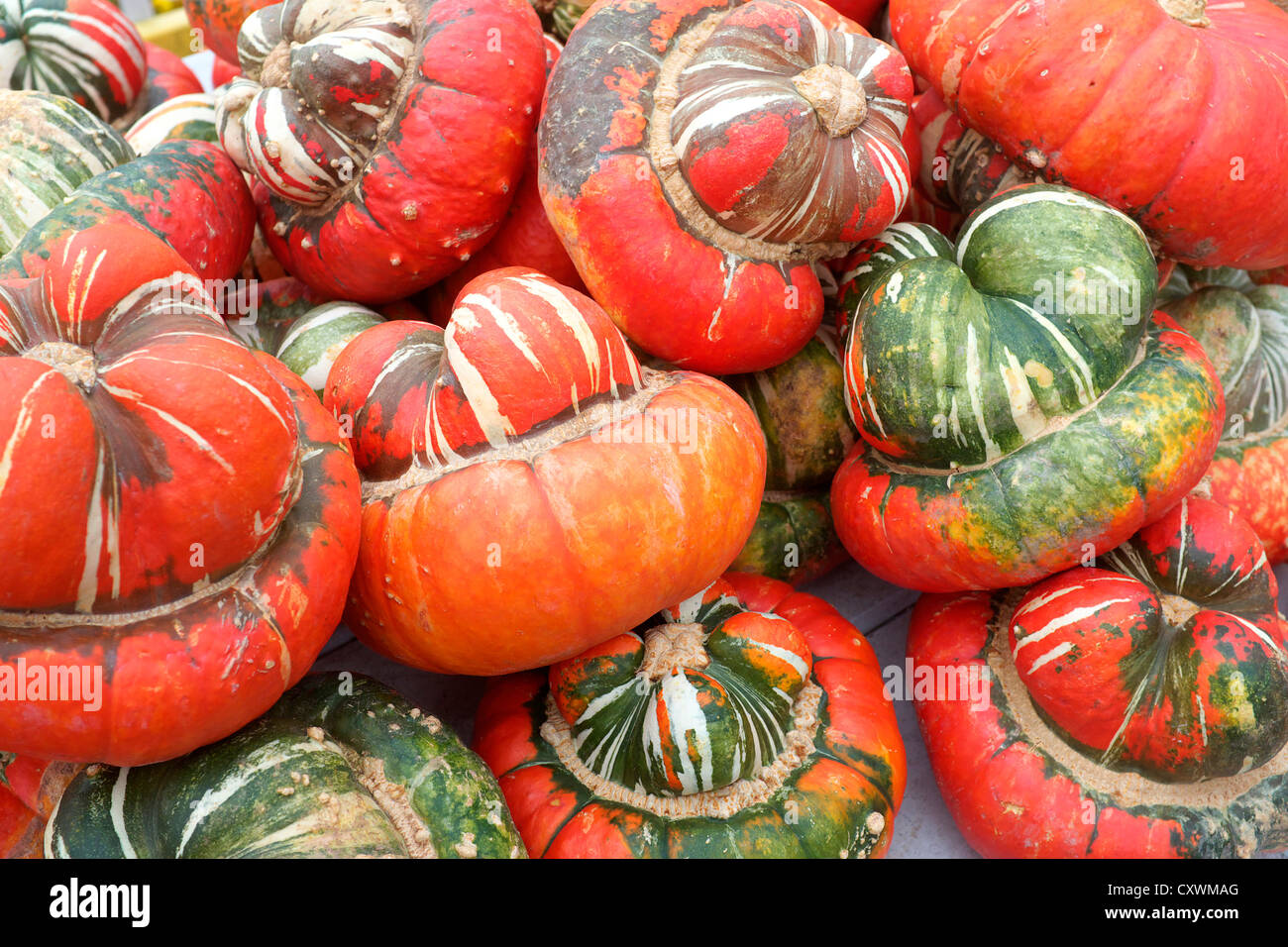 Turban squash hi-res stock photography and images - Alamy