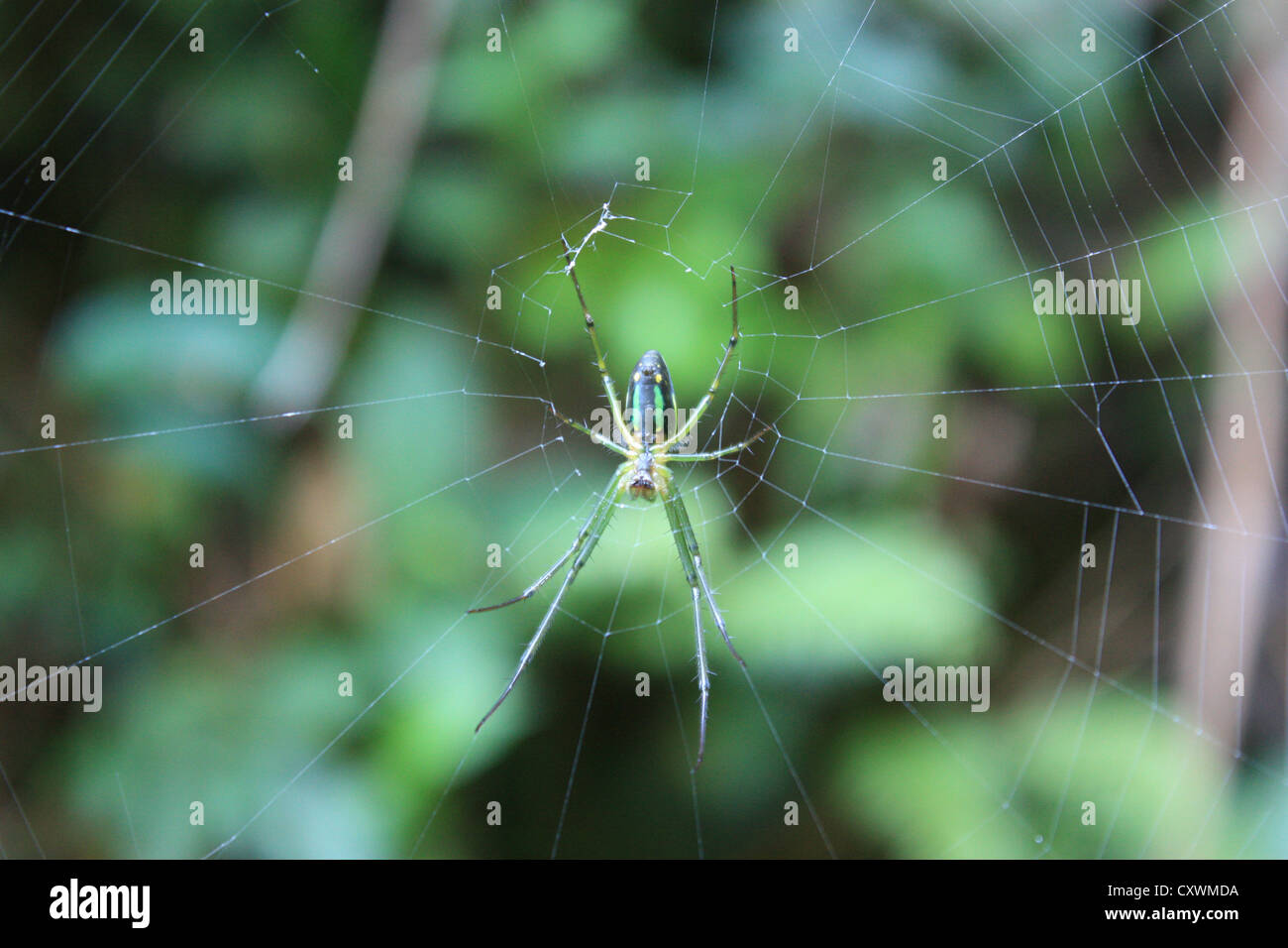Web colors hi-res stock photography and images - Alamy