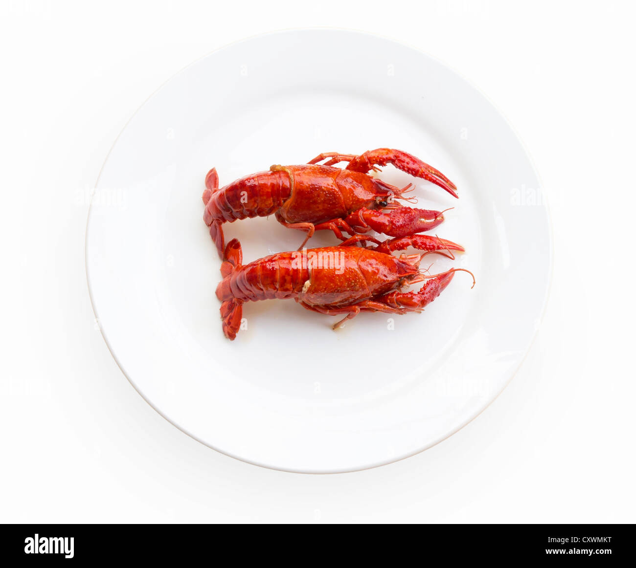 Boiled crawfish is isolated on the plate Stock Photo - Alamy