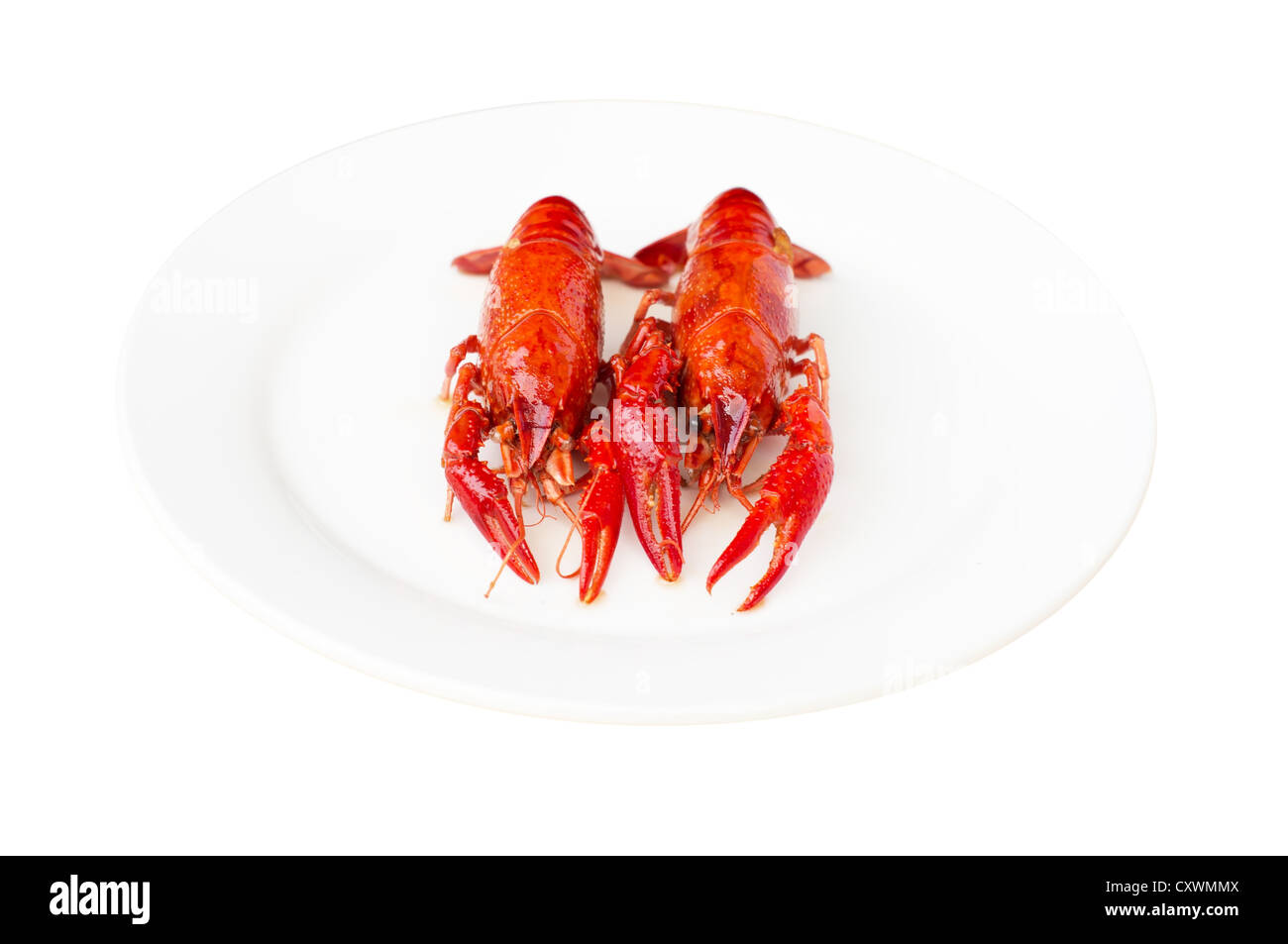 Boiled crawfish is isolated on the plate Stock Photo - Alamy