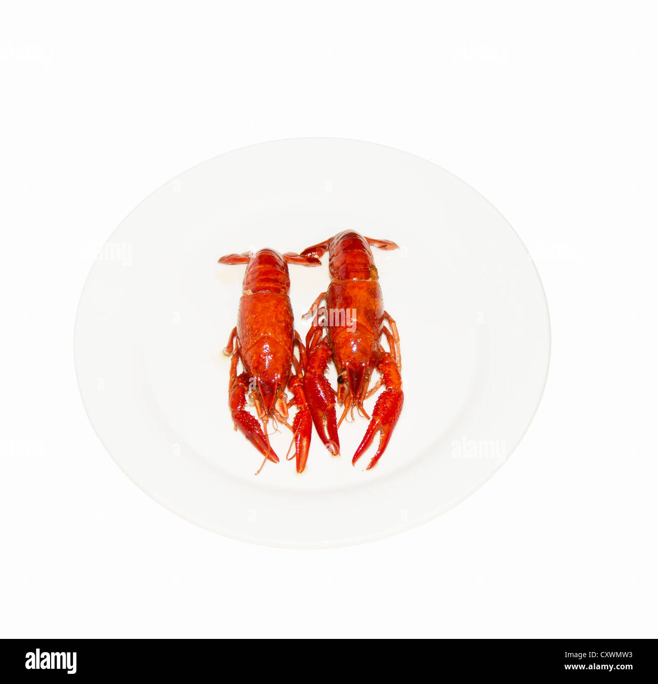 Boiled crawfish is isolated on the plate Stock Photo - Alamy
