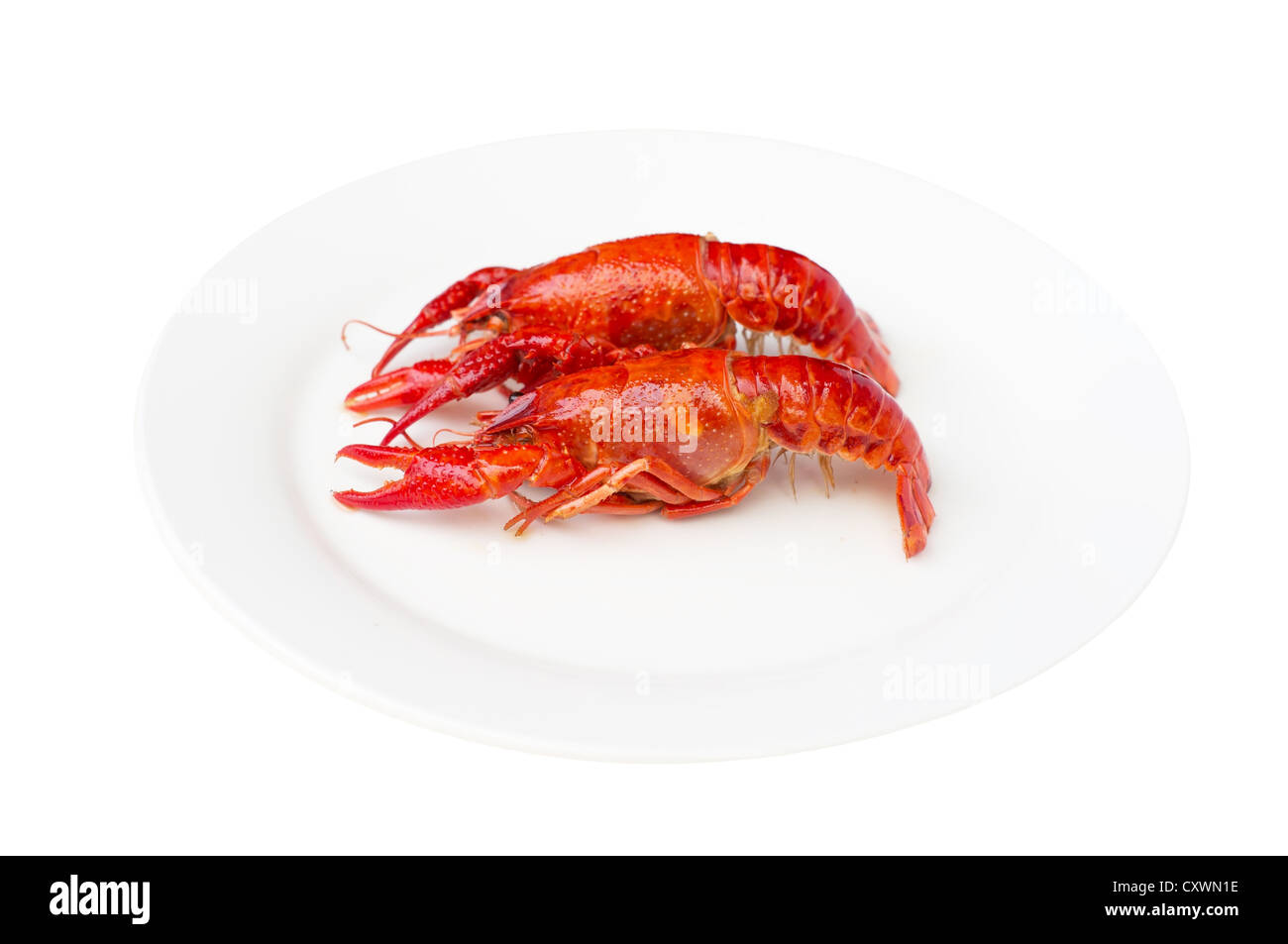 Boiled crawfish is isolated on the plate Stock Photo - Alamy