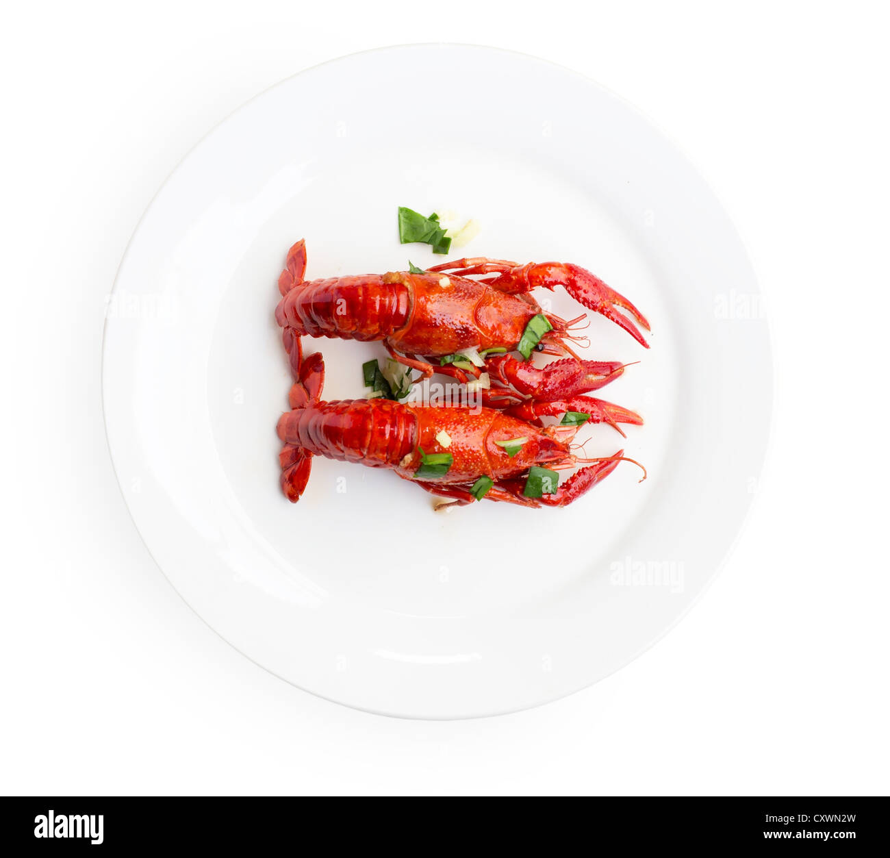 Boiled crawfish is isolated on the plate Stock Photo - Alamy