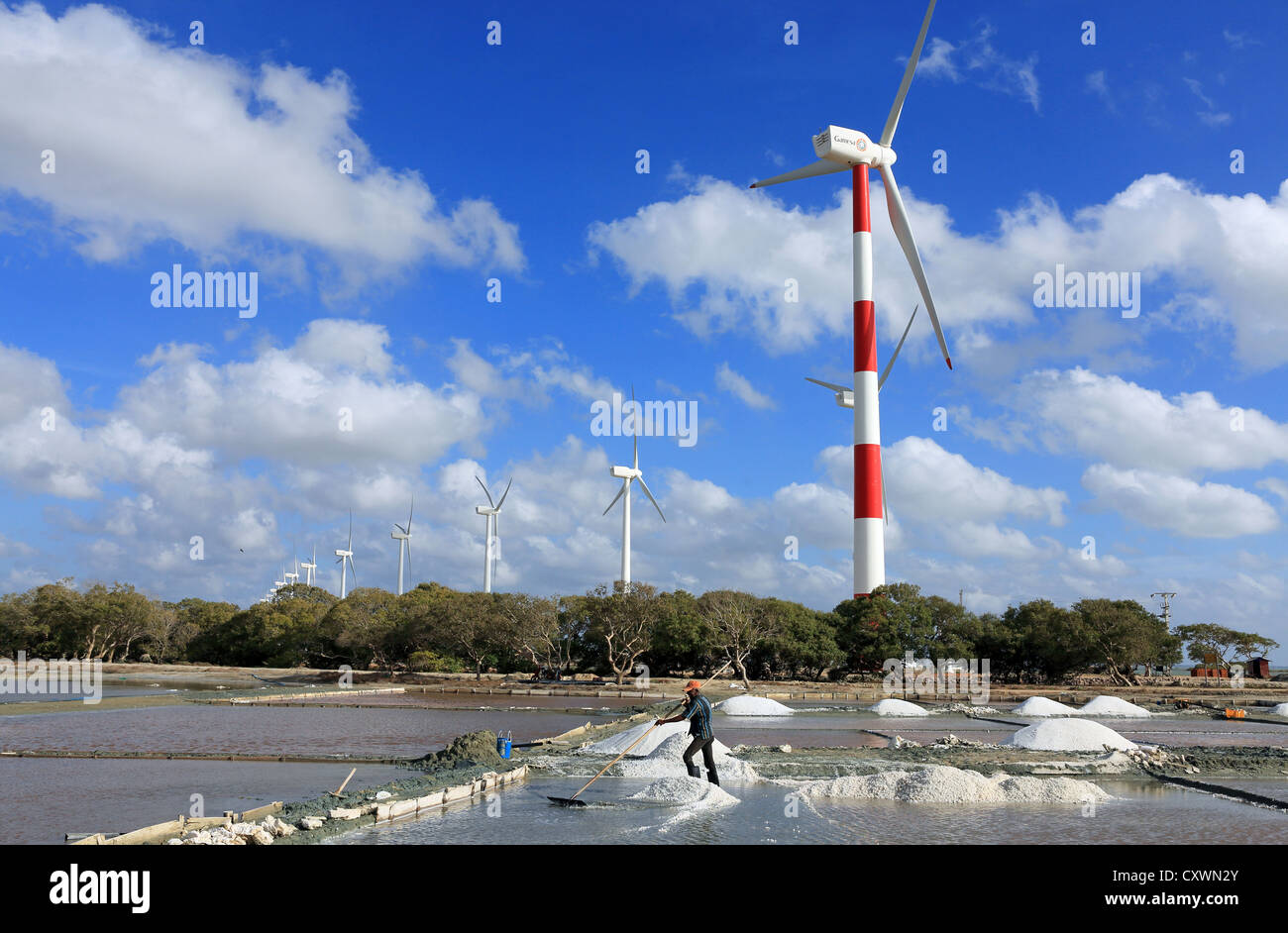 Worker raking salt into piles at salt farm with wind turbines in the ...
