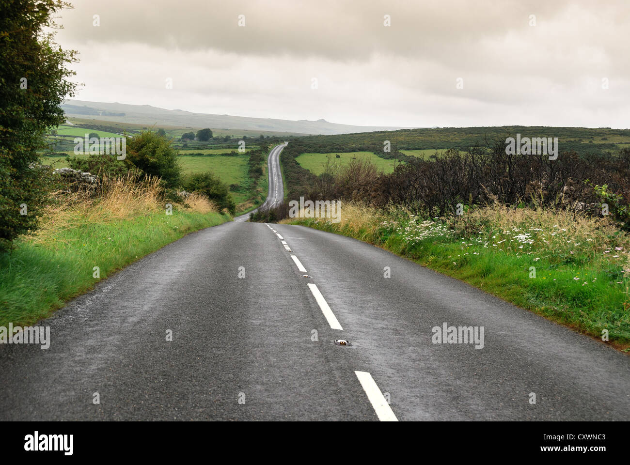 country road in Cornwall in Great Britain Stock Photo - Alamy