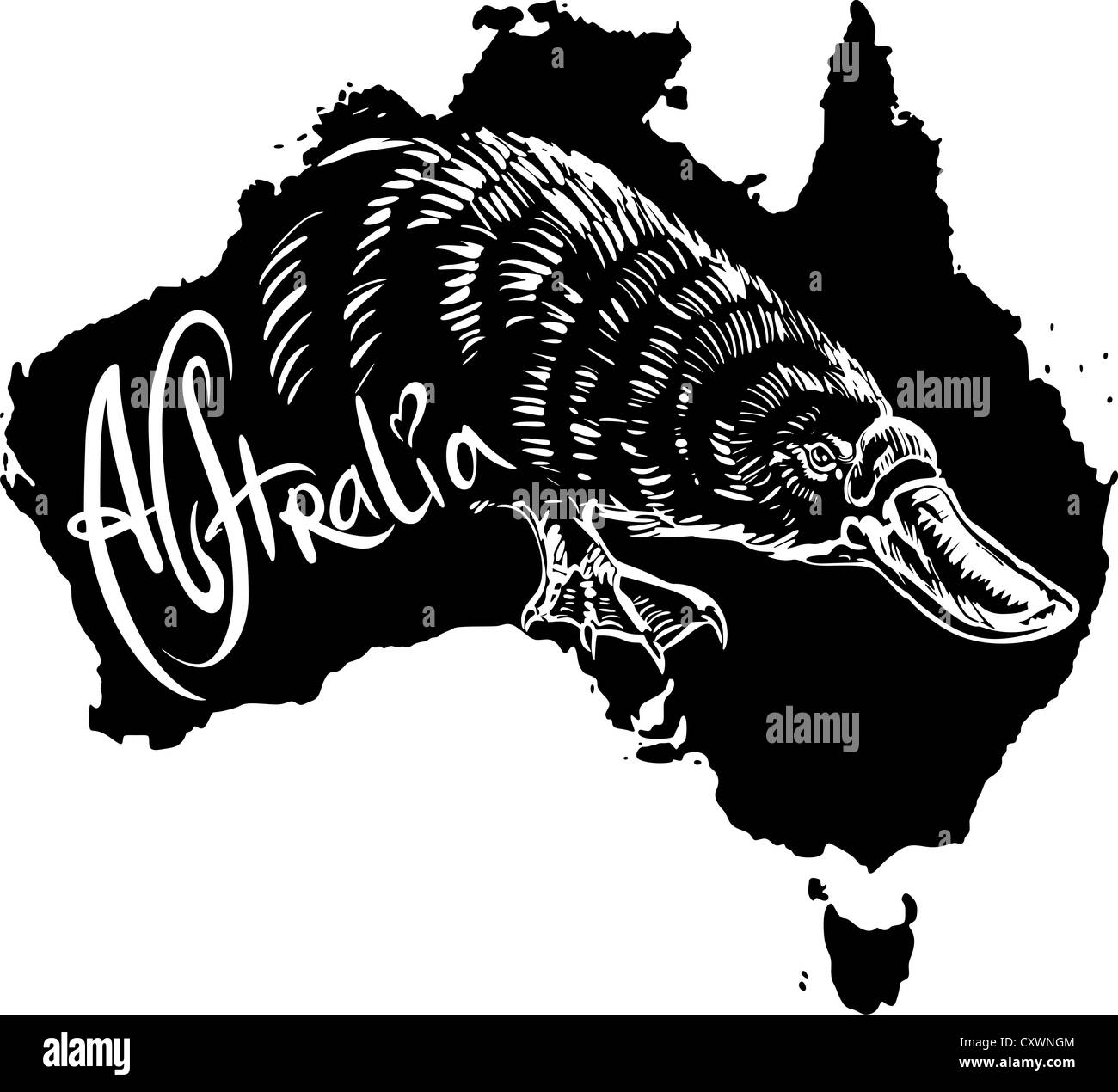 Platypus (Ornithorhynchus anatinus) on map of Australia. Black and ...