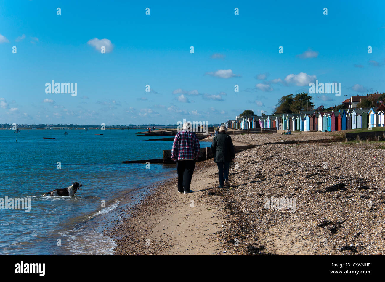 West mersea people hi-res stock photography and images - Alamy