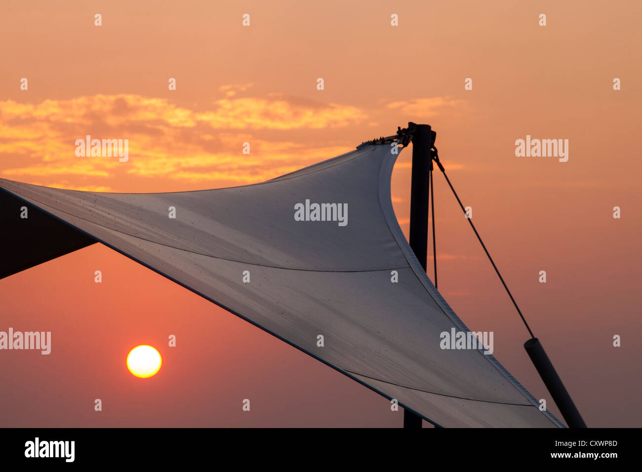Canopy glow hi-res stock photography and images - Alamy