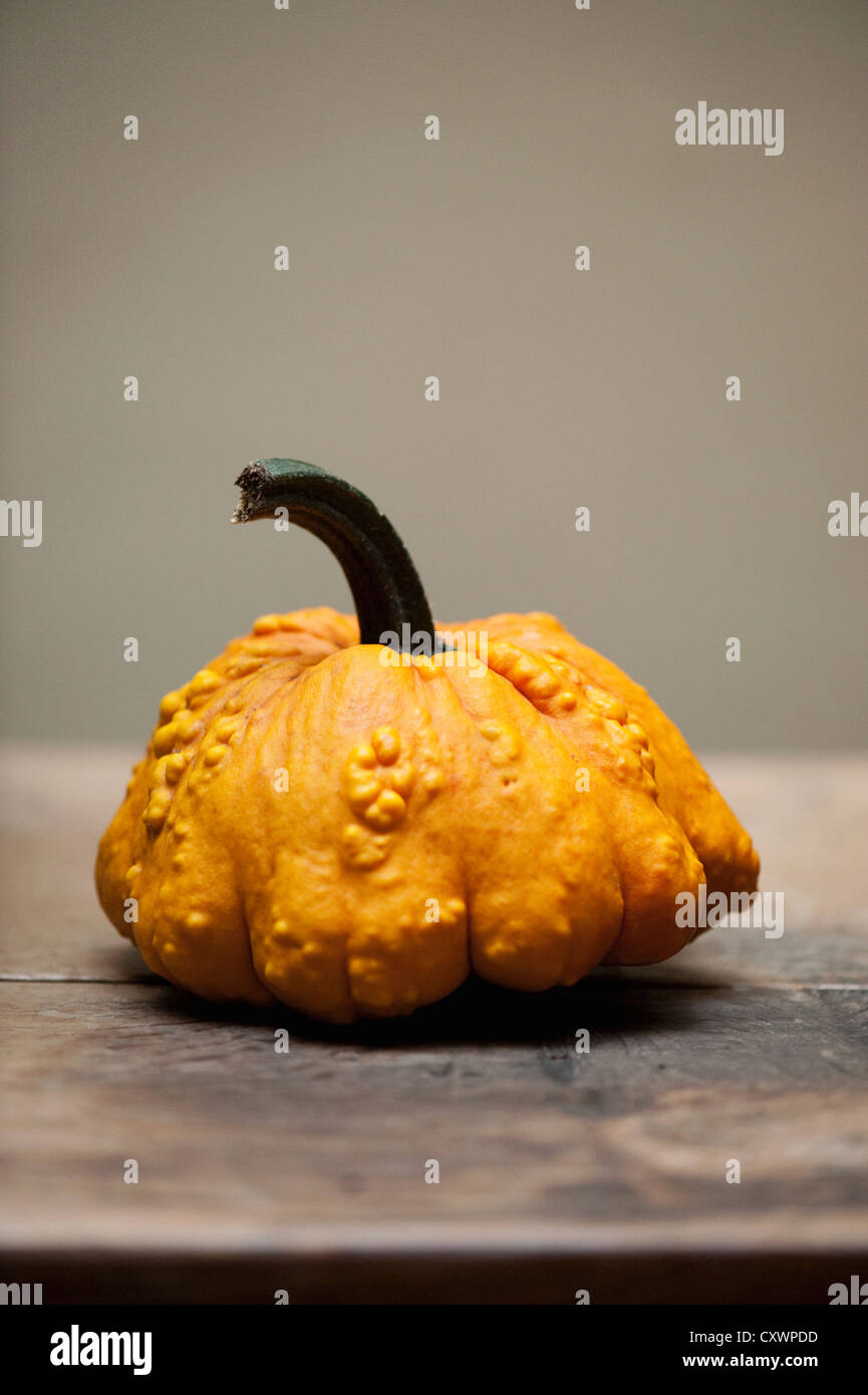 Close up of yellow gourd on table Stock Photo - Alamy