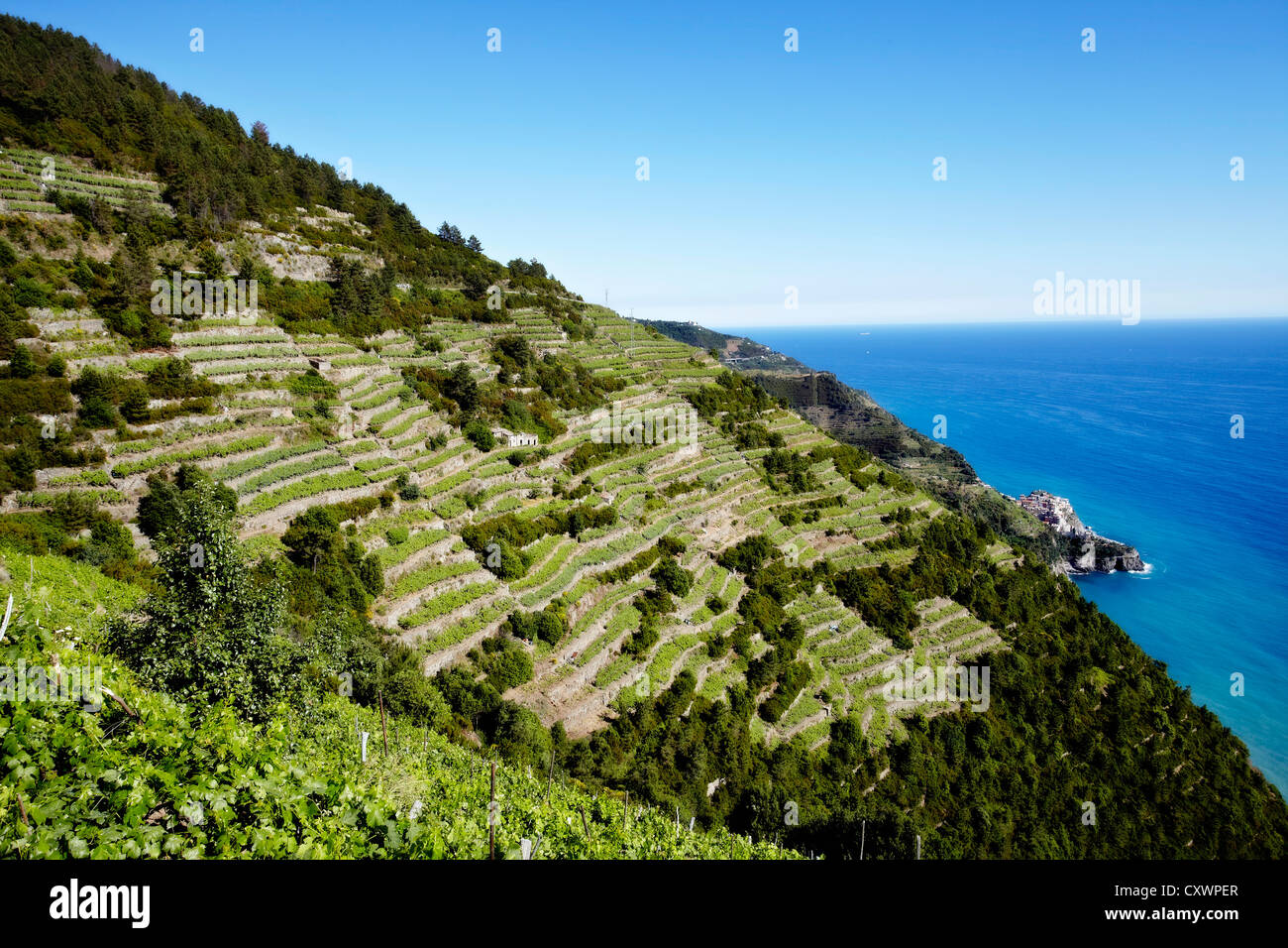 Hillside aerial hi-res stock photography and images - Alamy
